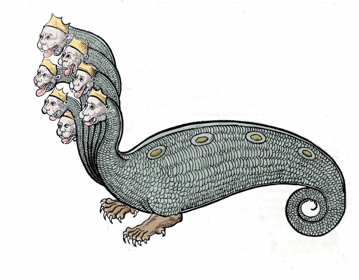 The hydra with the seven heads is a water snake with a dog's body