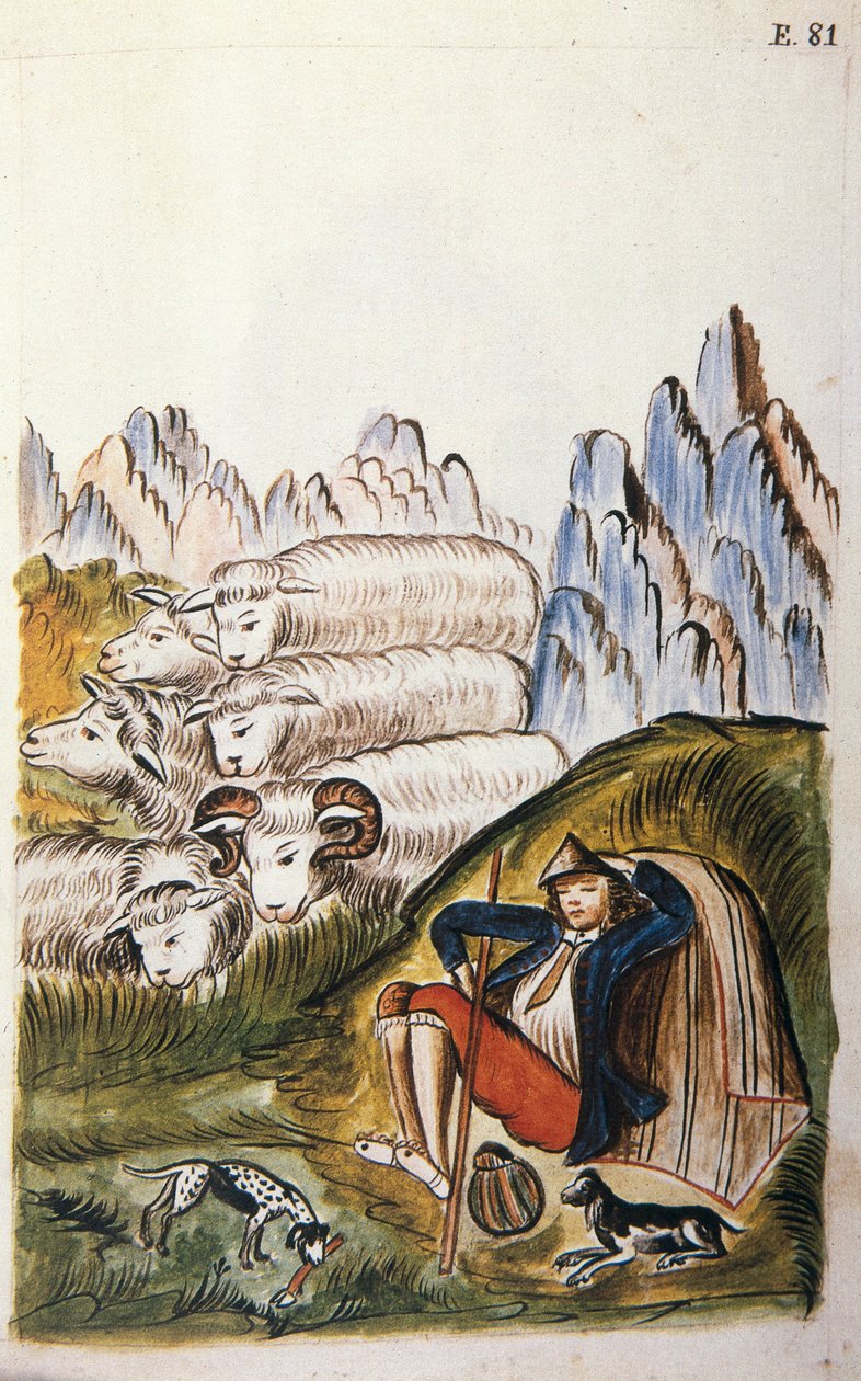 The Shepherd and His Flock of Sheep, from the Book 'Trujillo del Peru ...
