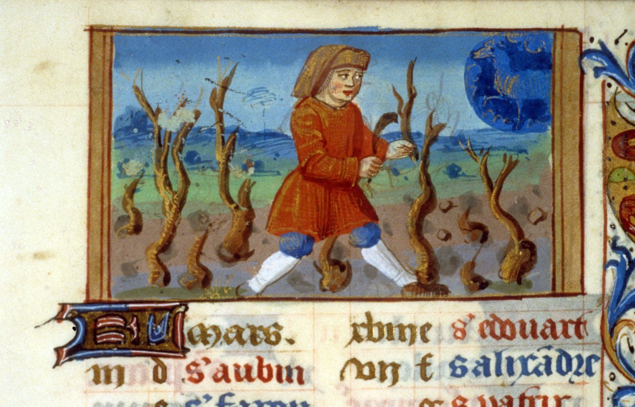 Zodiac Aries and tree size - Miniature of the Middle Ages