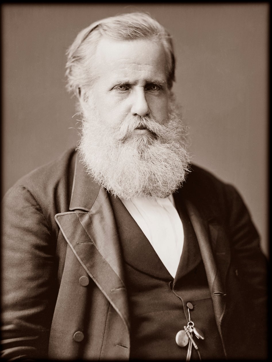 Portrait of Dom Pedro II, Emperor of Brazil