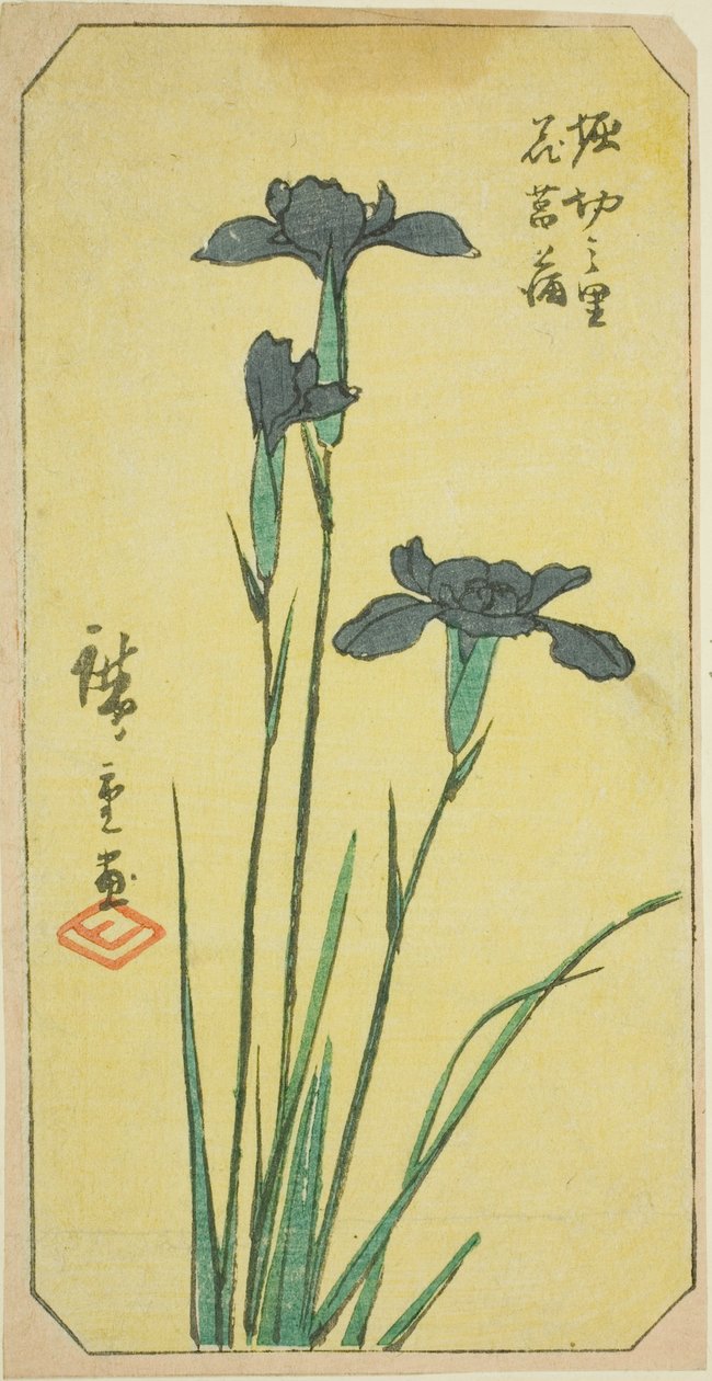 Iris at Horikiri Village, section of a sheet from the series 'Cutout ...