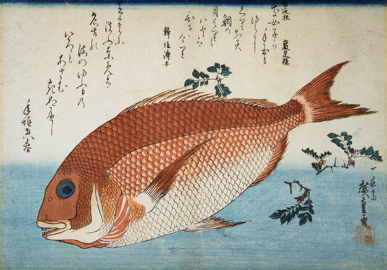 Red Sea Bream by Utagawa Hiroshige: Buy fine art print