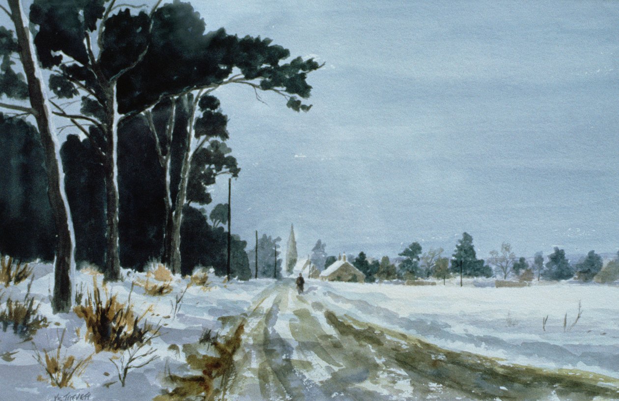 Hermitage Road in the Snow by Vic Trevett: Fine art print
