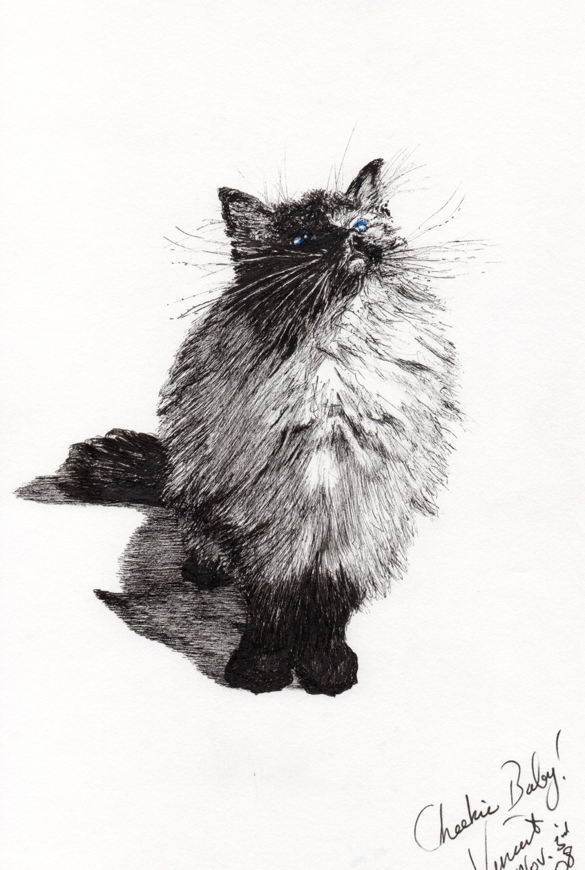 Cheekie Baby by Vincent Alexander Booth: Fine art print