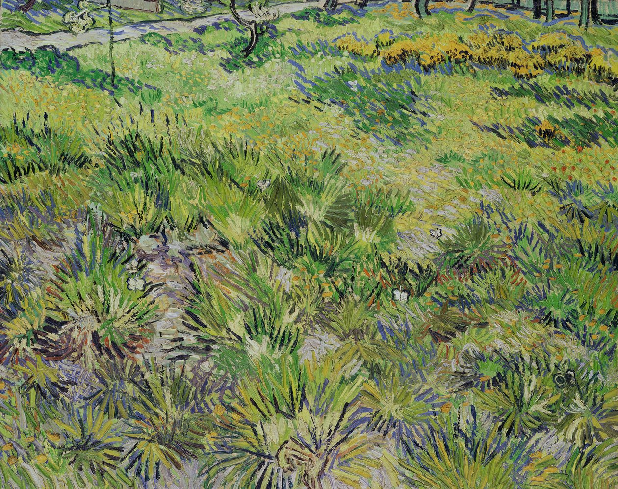 Meadow with Butterflies by Vincent van Gogh: Fine art print
