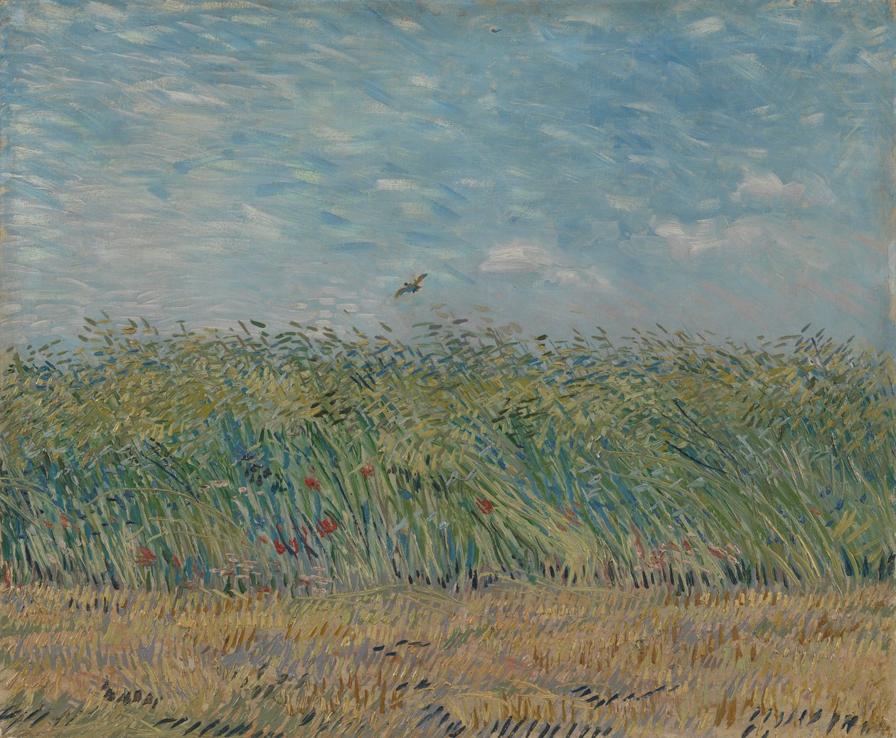 Wheatfield with Partridge by Vincent van Gogh