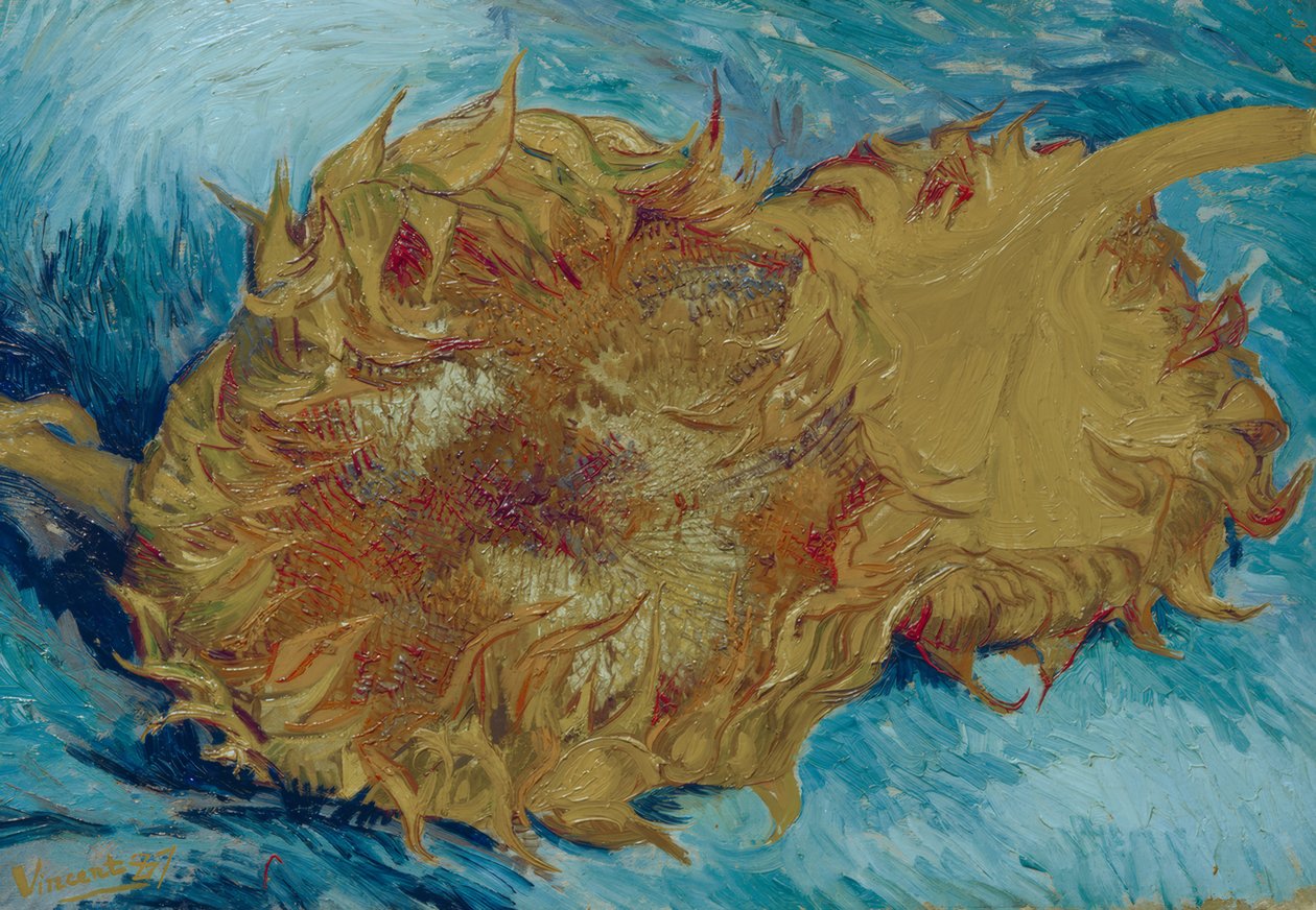Two Cut Sunflowers by Vincent van Gogh: Buy fine art print