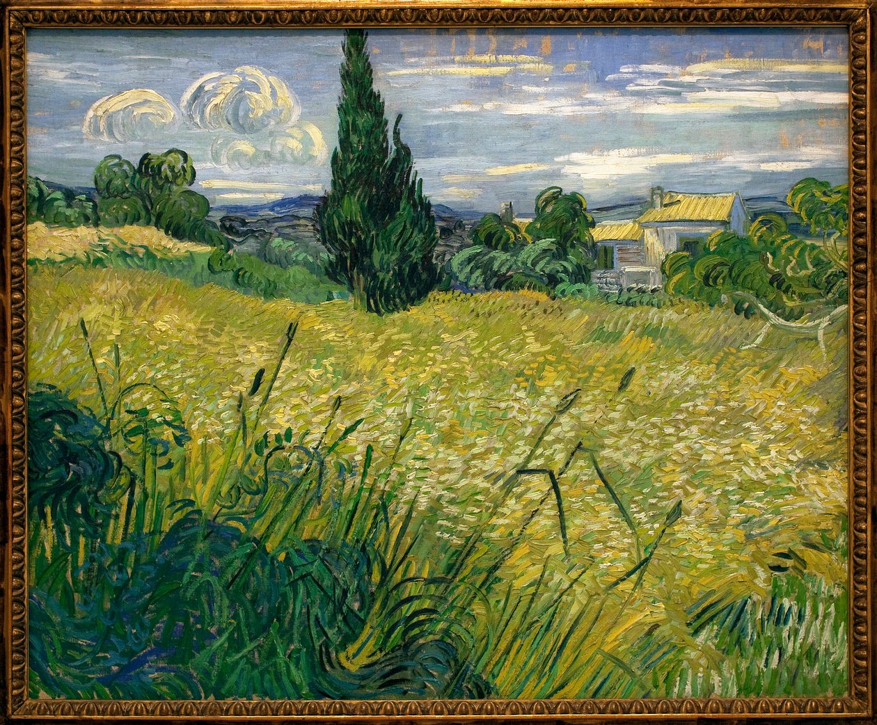But Green by Vincent van Gogh: Buy fine art print
