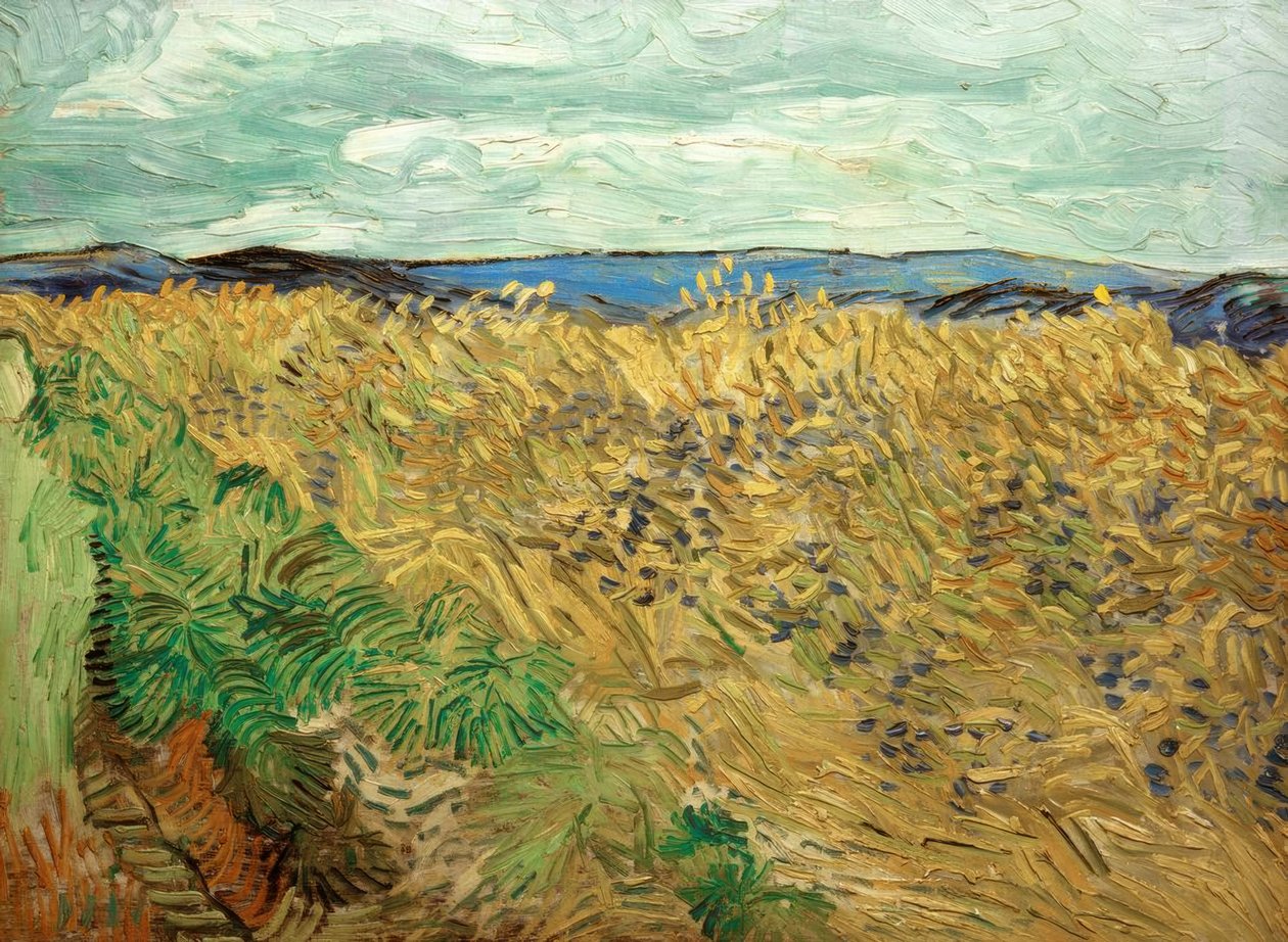 Field with Cornflowers by Vincent van Gogh: Fine art print