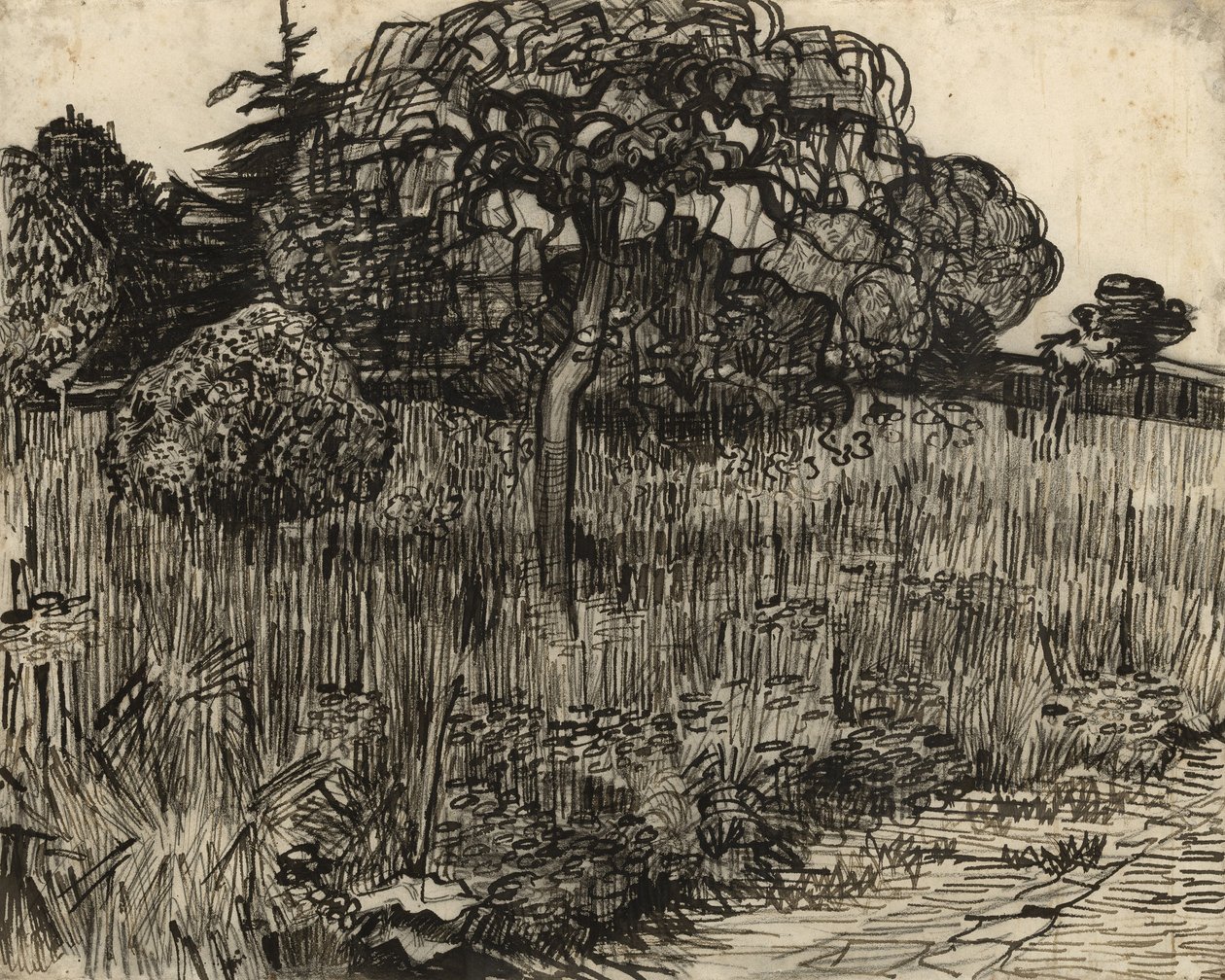 Van Gogh Drawings Trees Blossoming Chestnut Trees Vincent Van Gogh
