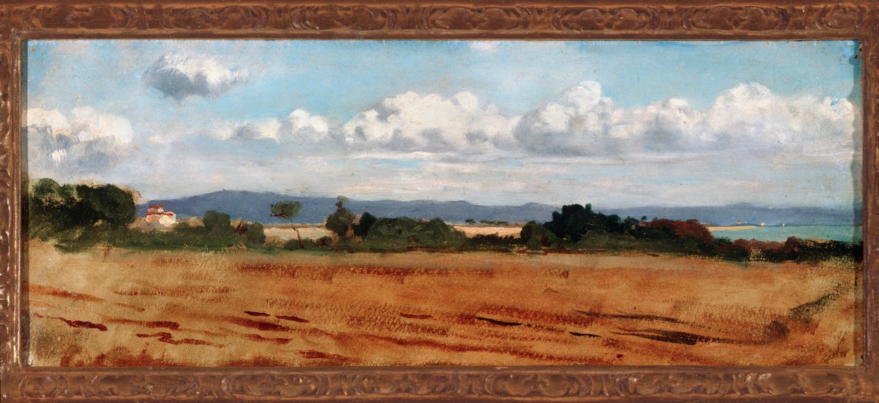 Landscape with Clouds in Castiglioncello