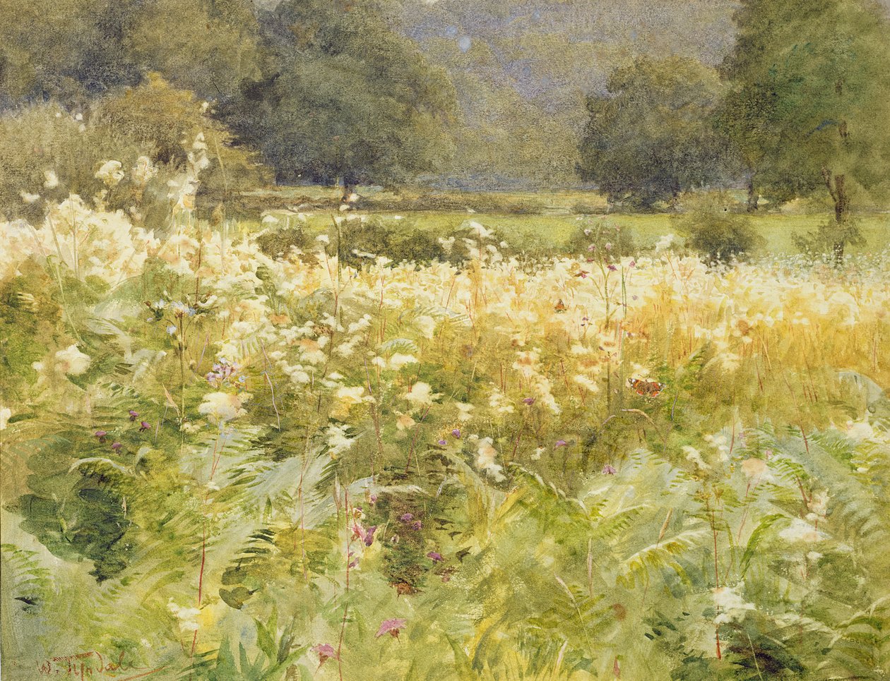 Meadowsweet by Walter Frederick Roofe Tyndale