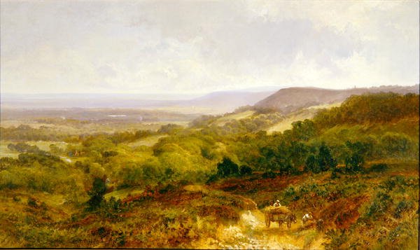 The Weald of Surrey by Walter Wallor Caffyn