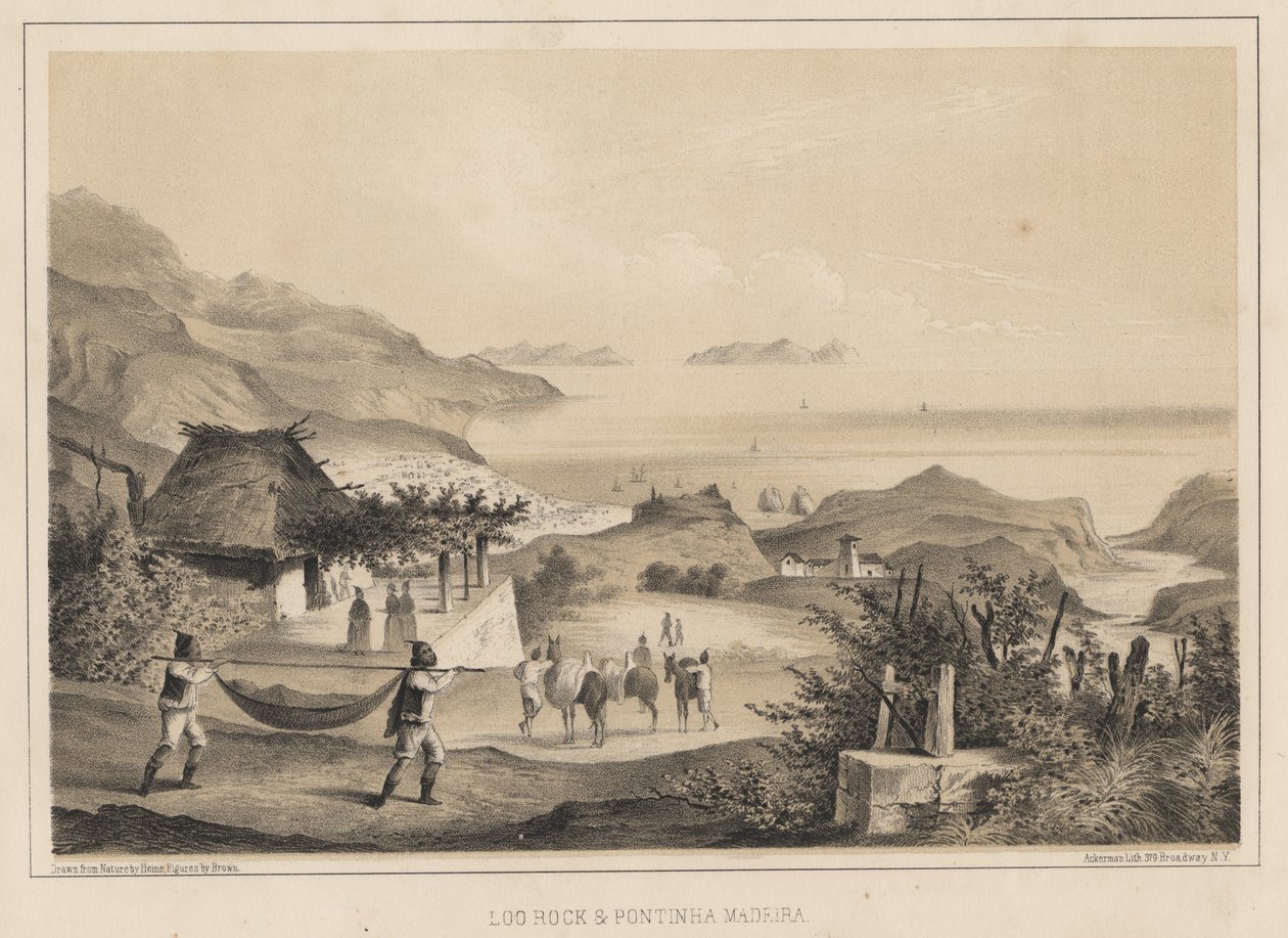 Loo Rock and Pontinha Madeira, 1855 by Wilhelm Joseph Heine