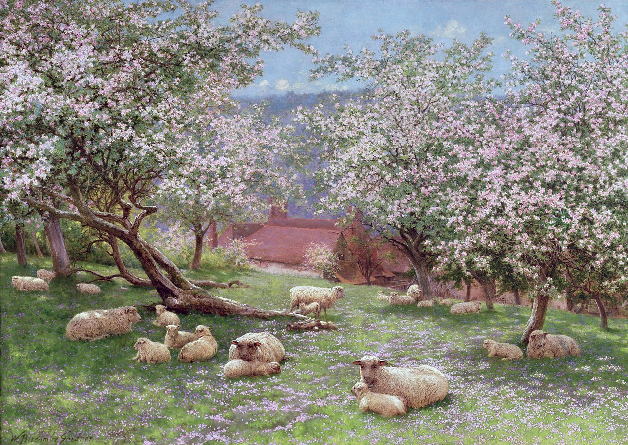 Appleblossom by William Biscombe Gardner: Fine art print