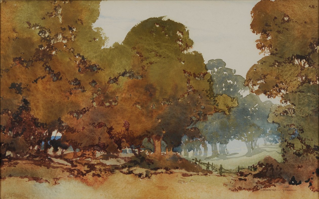 Gum trees by William Blamire Young: Buy fine art print