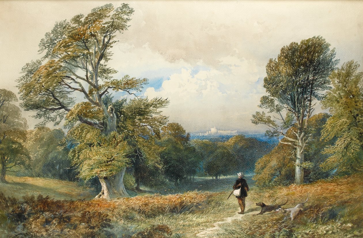 Rough Shooting in Windsor Great Park