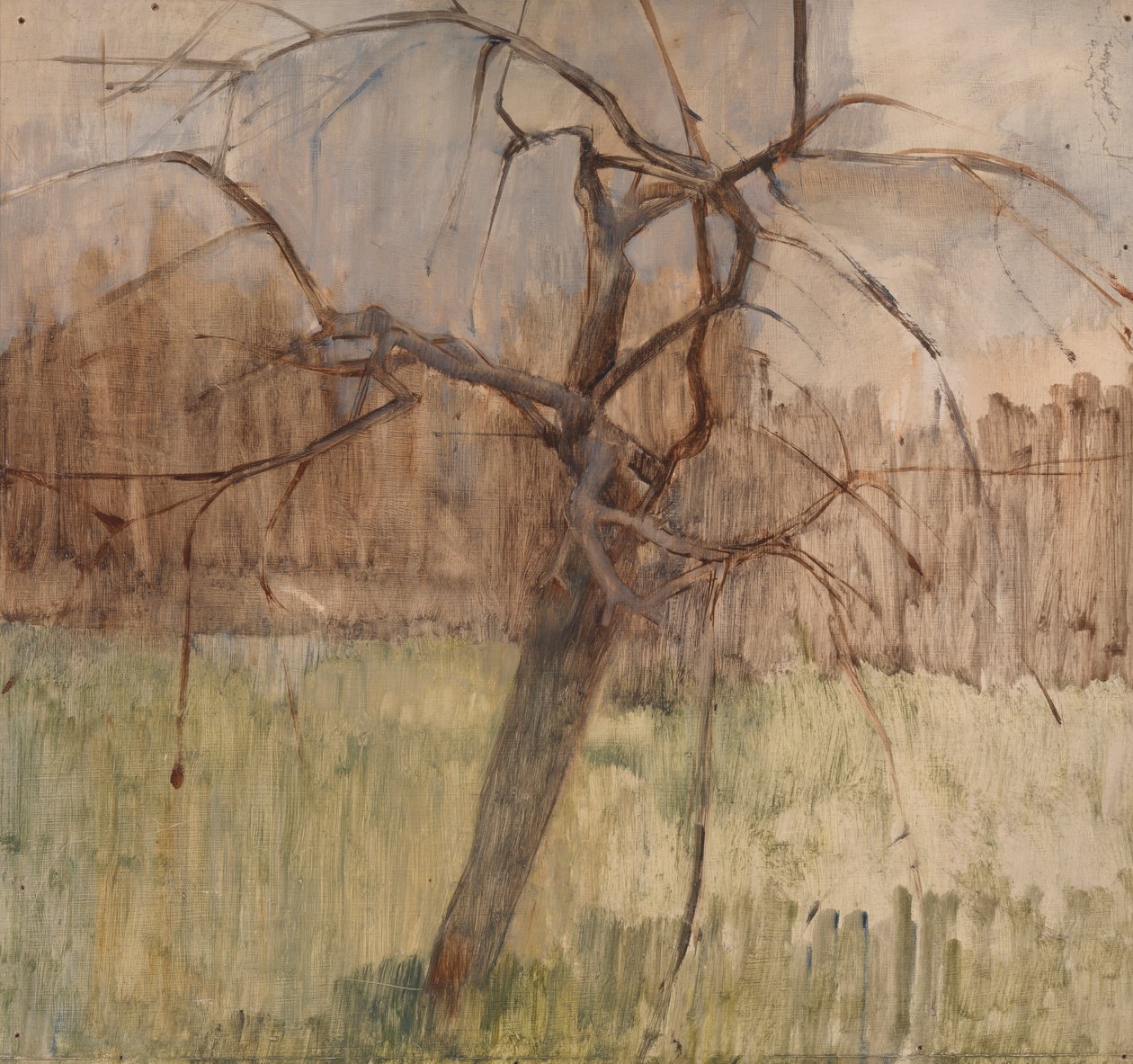 Apple Tree by William Packer: Buy fine art print