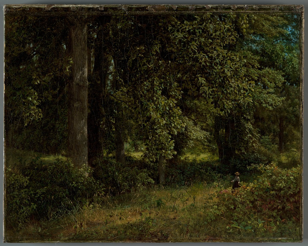Tulip trees, 1859 by William Trost Richards: Fine art print