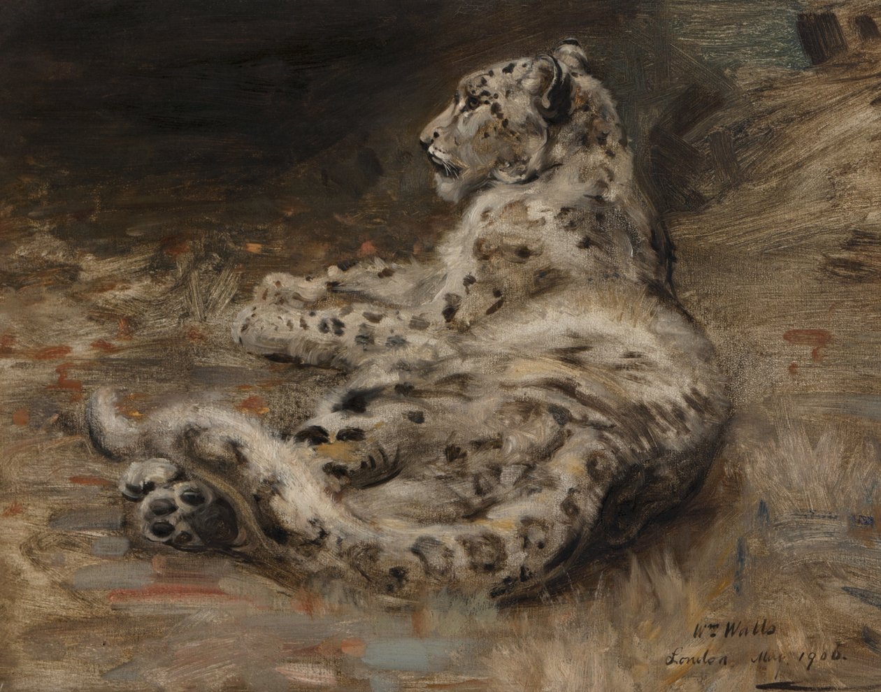 A Leopard by William Walls: Highest-quality art reproduction