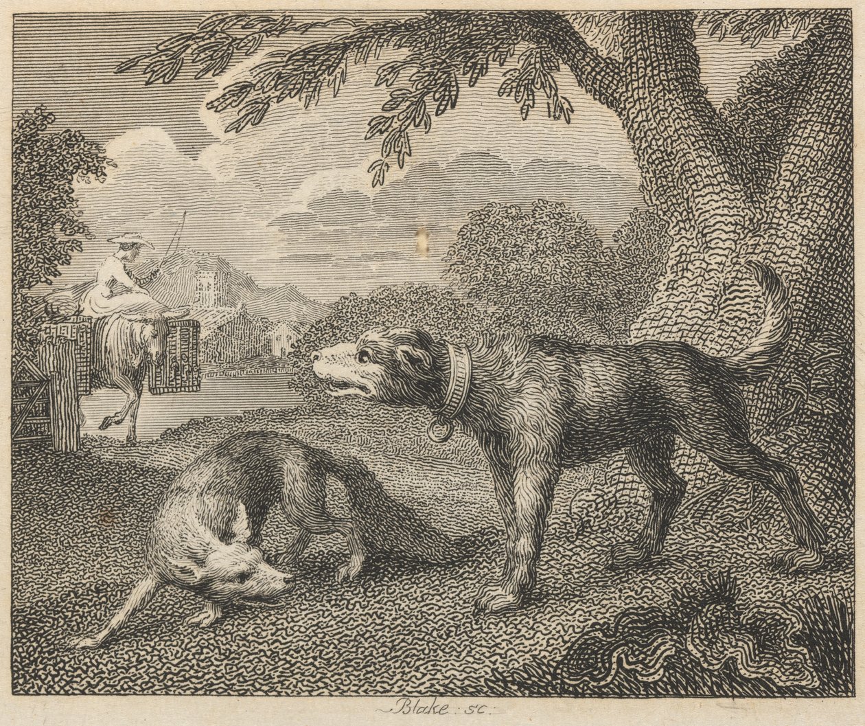The Dog and the Fox by William Blake: Buy fine art print