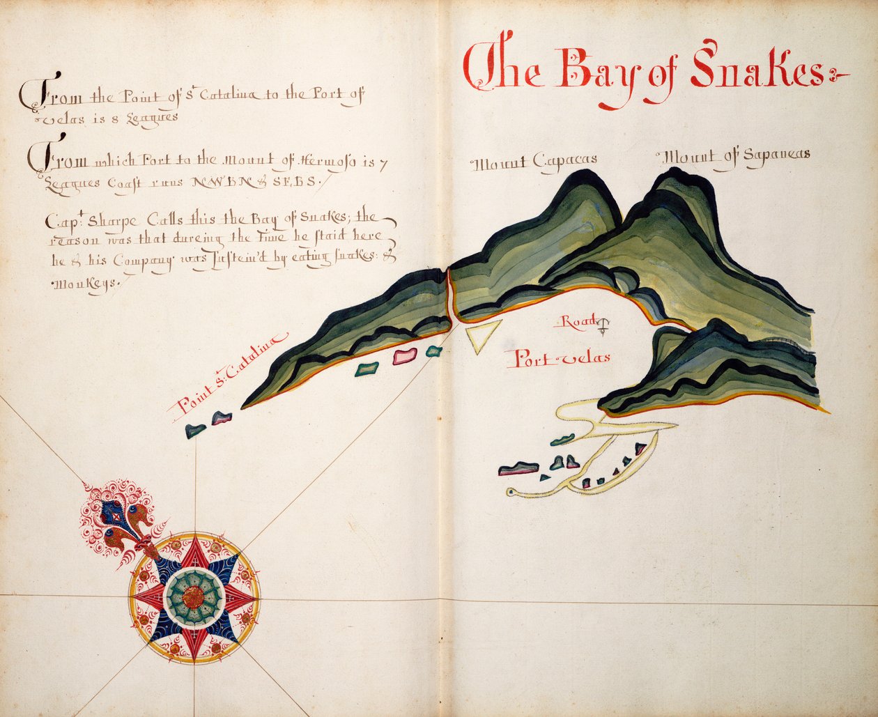 The Bay of Snakes by William Hack: Buy fine art print