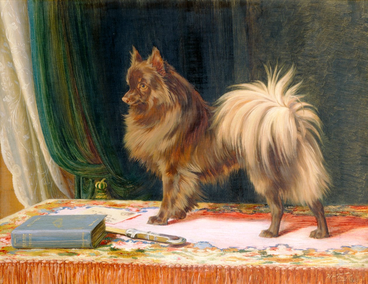 Portrait of Prairie Prince by William Henry Hamilton Trood