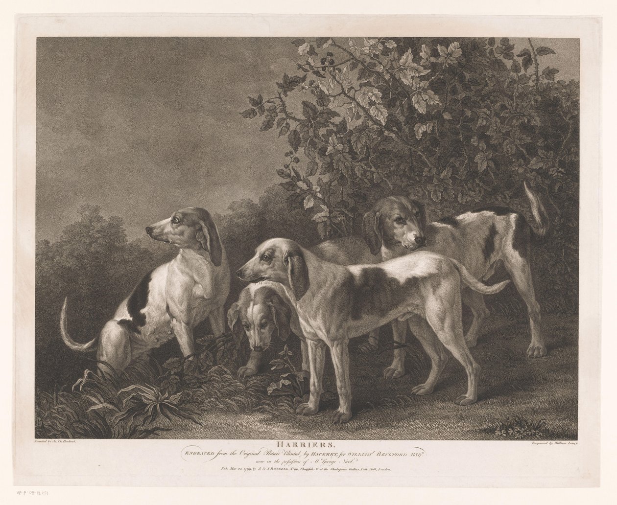 Four Hunting Dogs by William Satchwell Leney