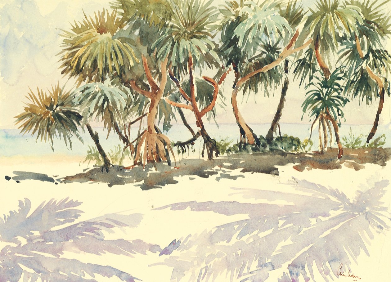 Straw trees, Bentota by Wilson Clive: Buy fine art print