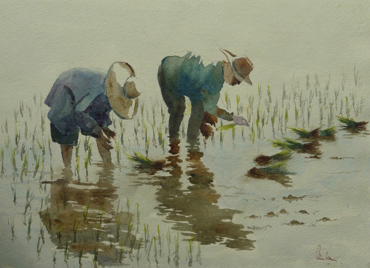 Planting rice by Wilson Clive: Buy fine art print