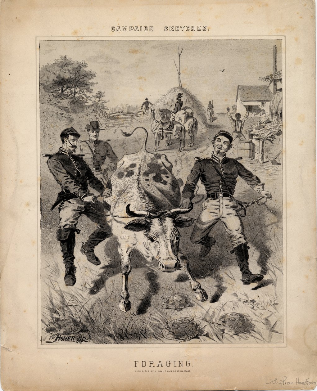 Foraging, illustration from 'Campaign Sketches'