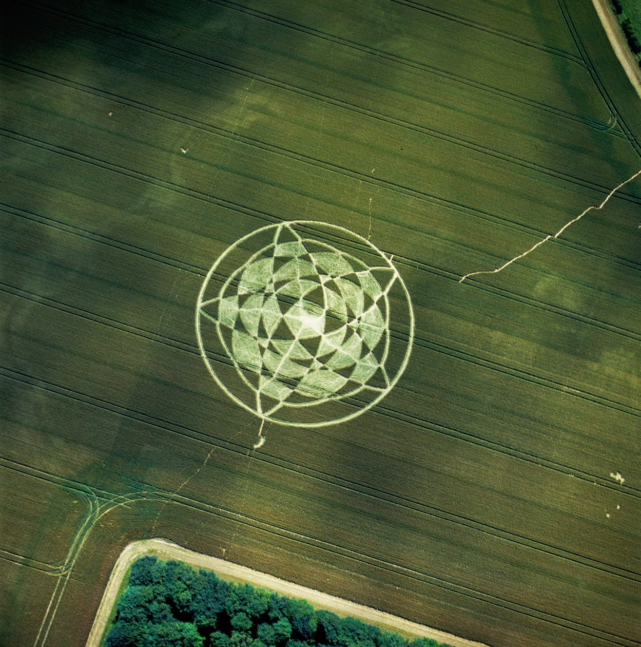 Crop circle in wheat field, Avebury Henge, Wiltshire, 22nd June 2002
