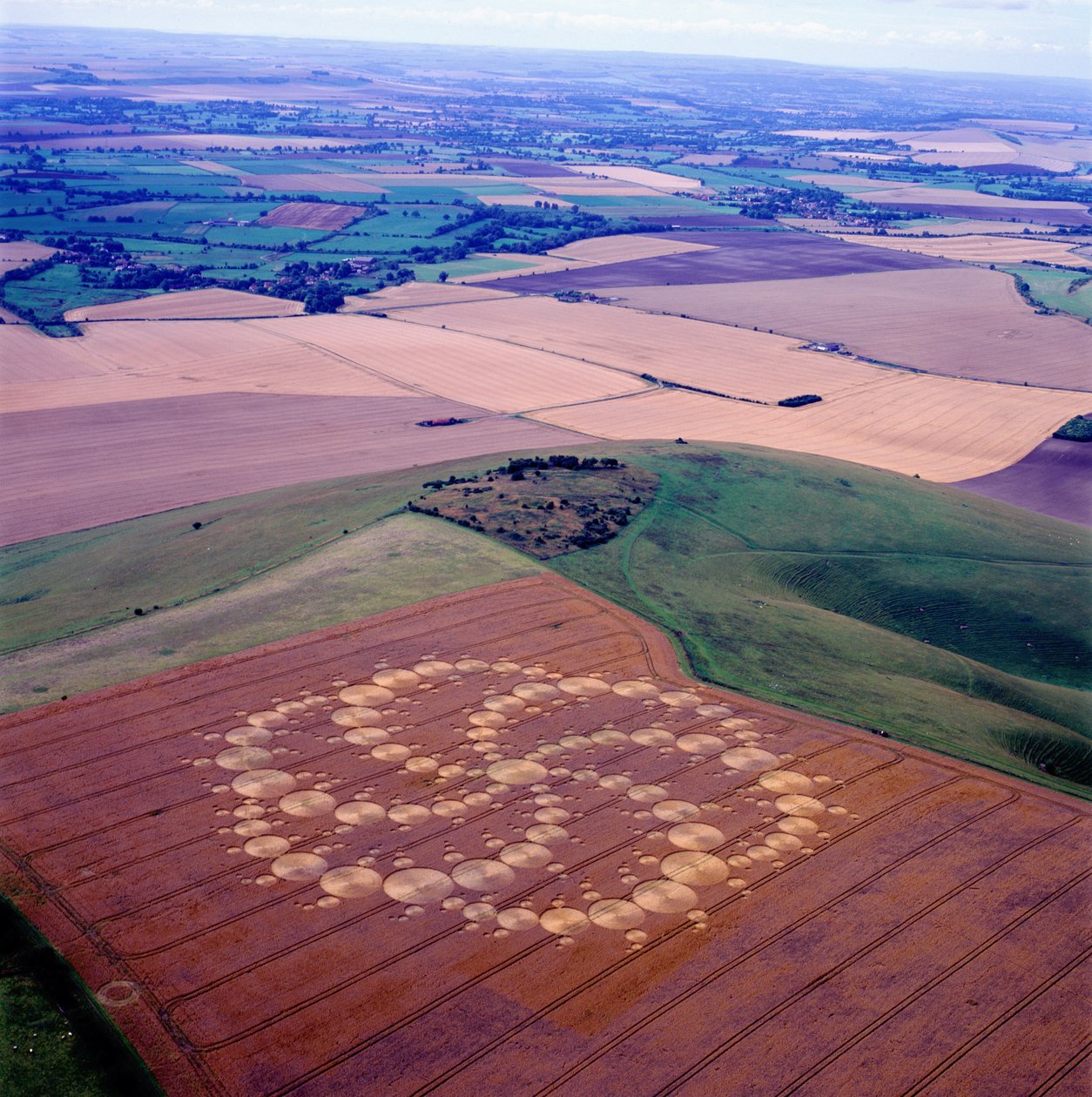 Crop circle in wheat field, Milk Hill, Alton Priors, Vale of Pewsey ...