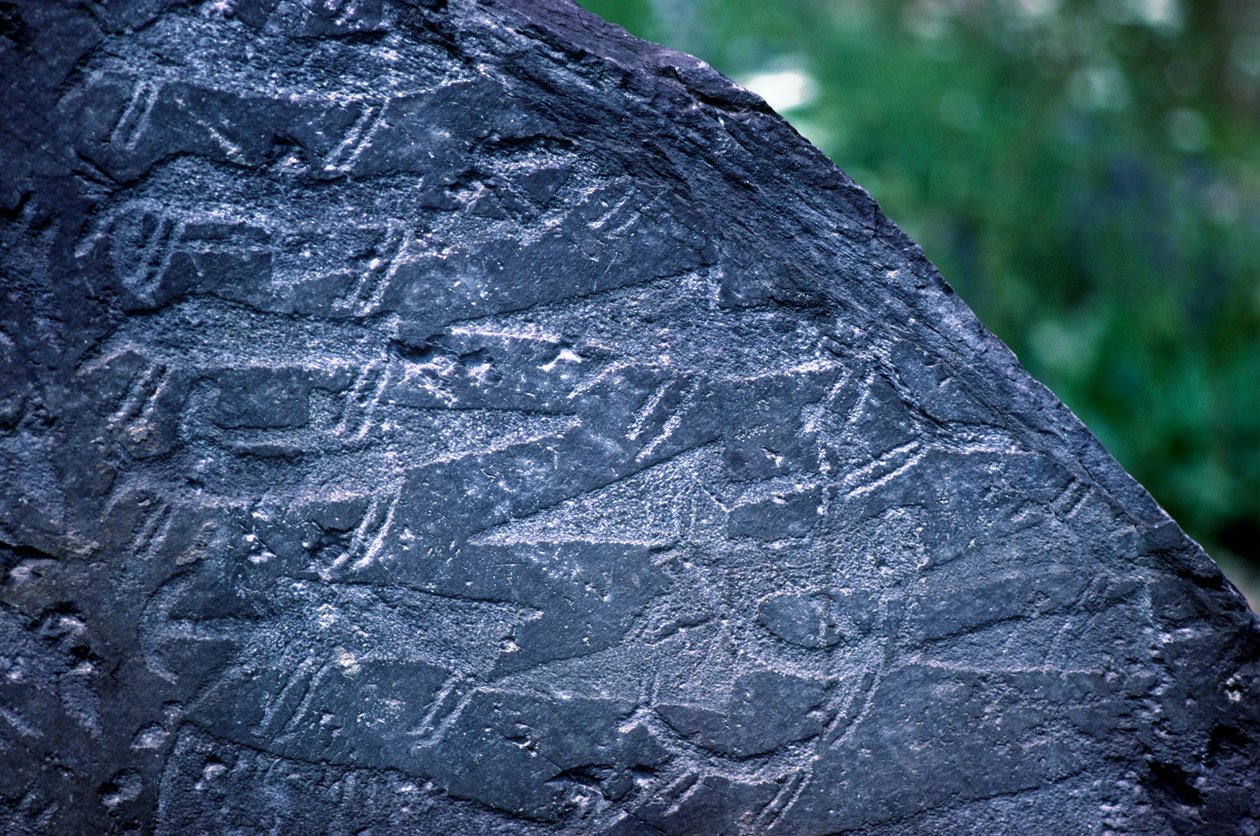 Close-up of Rock Drawings in Naquane National Park