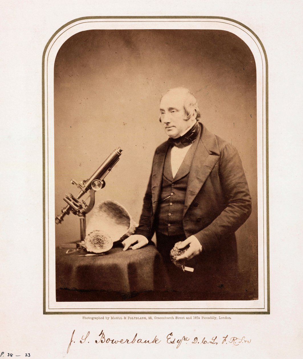 James Scott Bowerbank, British Geologist