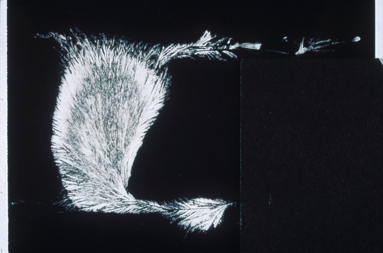 Silicates, LM Sodium Silicate