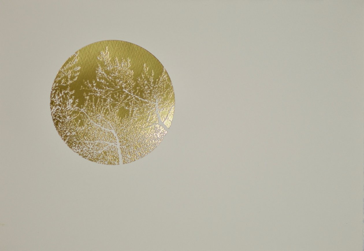 Silent Olive by angus hampel: Buy fine art print