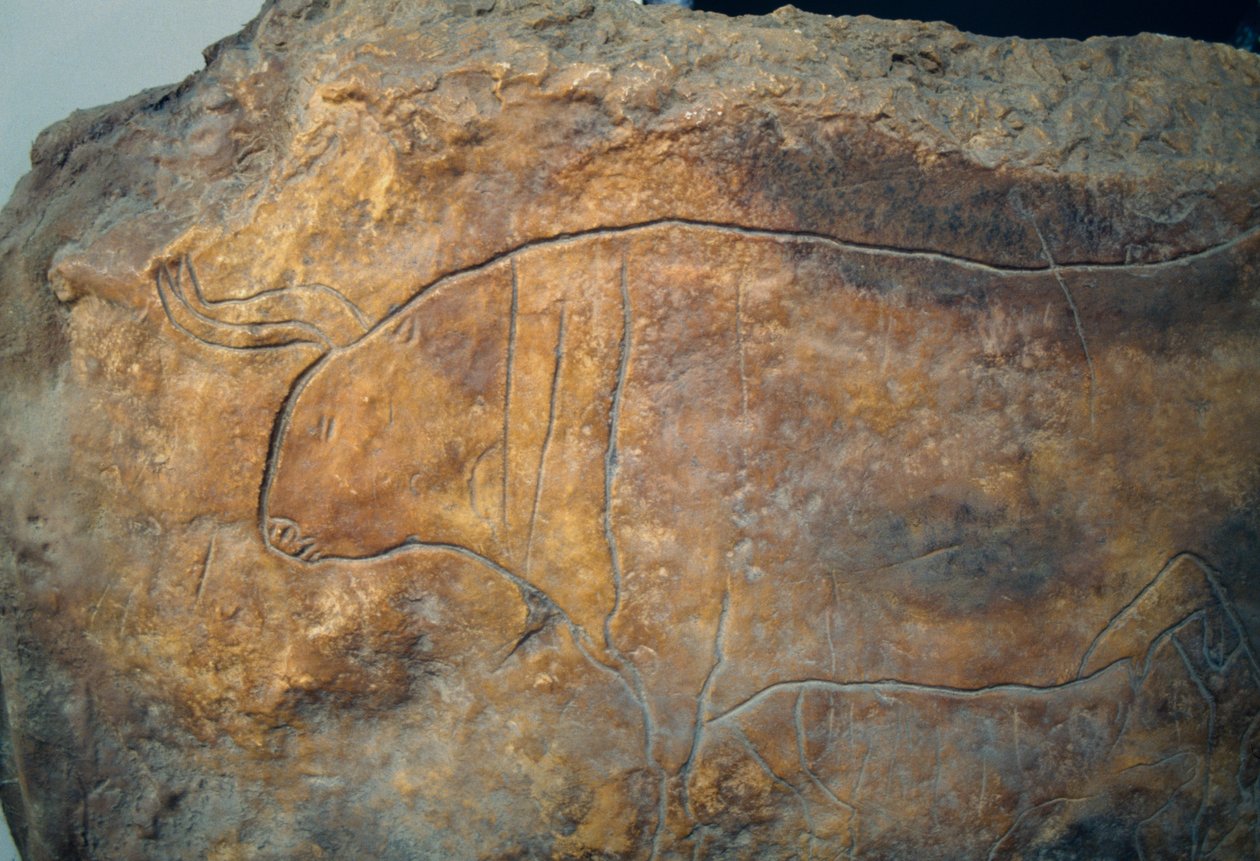 Graffito depicting bull. Ancient Greek civilization, Magna Graecia