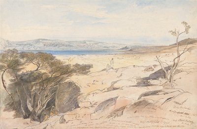 Art prints by Edward Lear