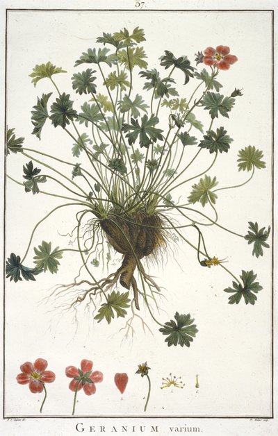 Art prints by Hubert Robert