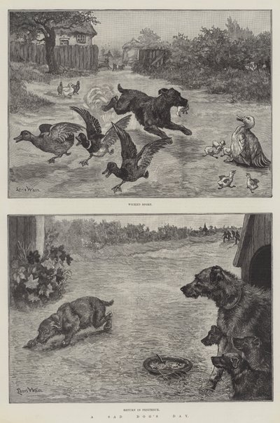 Art prints by Louis Wain