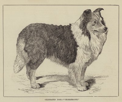 Art prints by Louis Wain