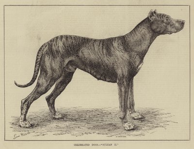 Art prints by Louis Wain