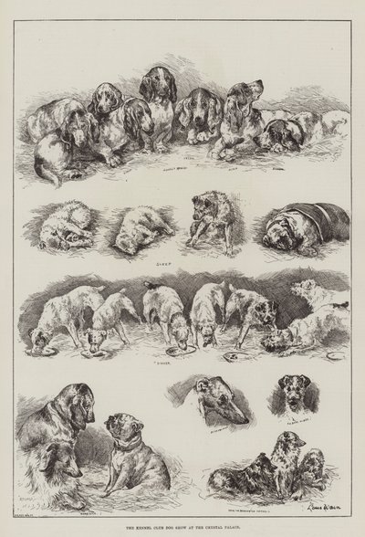 Art prints by Louis Wain