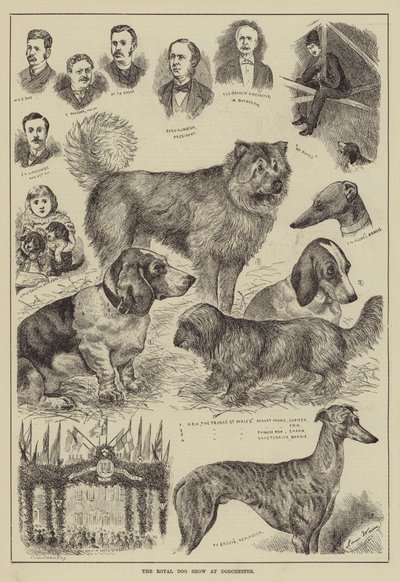 Art prints by Louis Wain