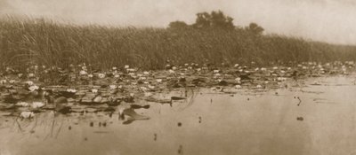 Peter Emerson und Thomas Goodall • Exclusive Fine Art Prints