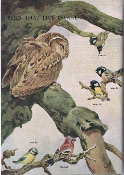 Art prints by Robert George Talbot Kelly