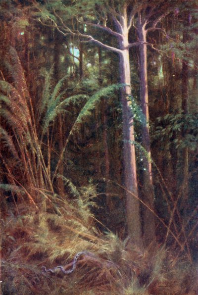 Robert George Talbot Kelly • Buy exclusive fine art prints