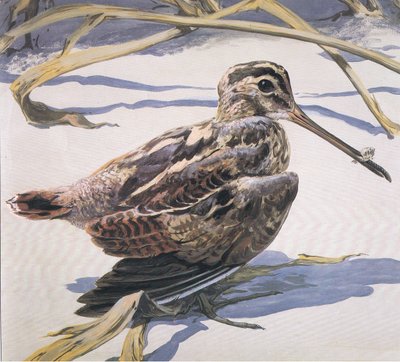 Robert George Talbot Kelly • Buy exclusive fine art prints