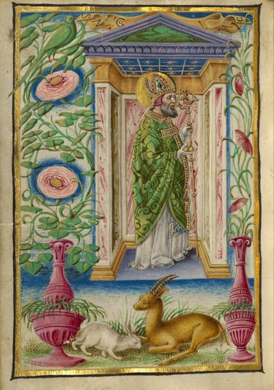 Taddeo Crivelli • Buy exclusive fine art prints online